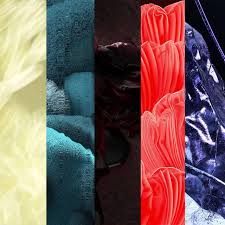 Colour Trends Winter 2025 – BINUS Fashion